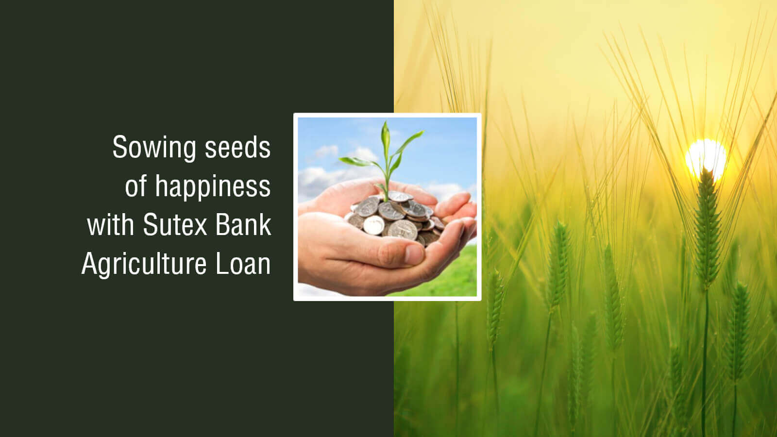 Welcome | - The Sutex Co-operative Bank Ltd.